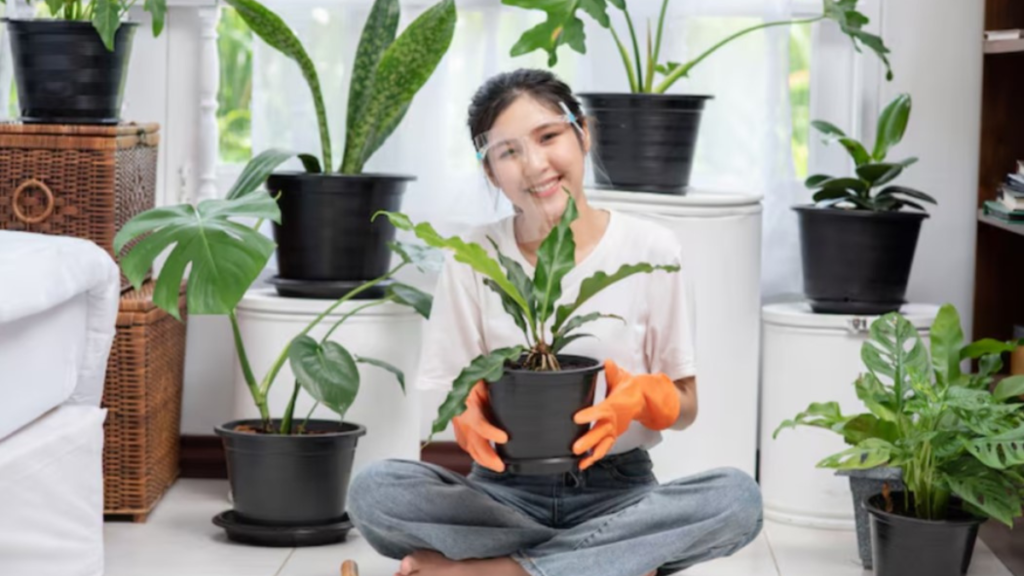 Indoor Plants That Actually Improve Your Mood and Productivity